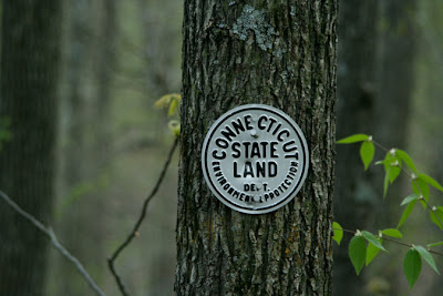 AVECCA DESIGN: : lyman viaduct hike