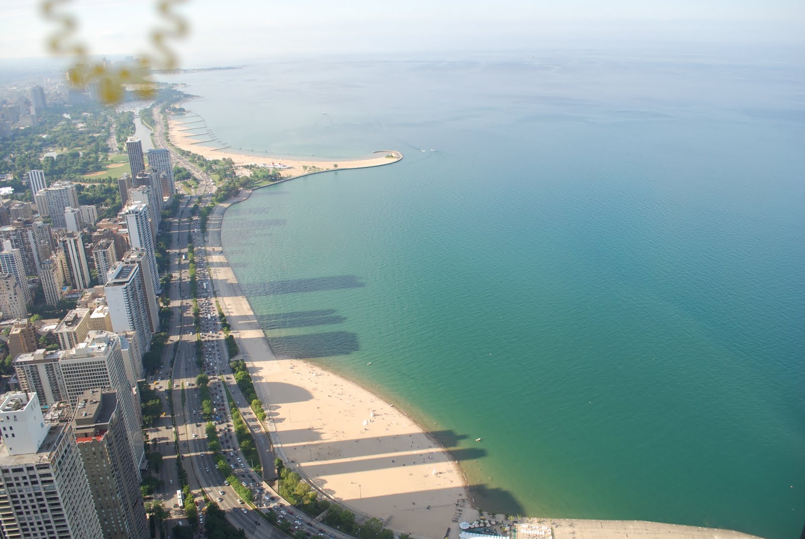 AP Bio Summer Assignment