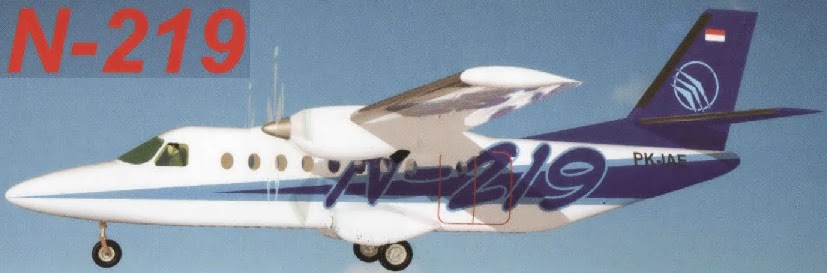 AIRPLANE SCALE MODELKIT: NURTANIO N-219