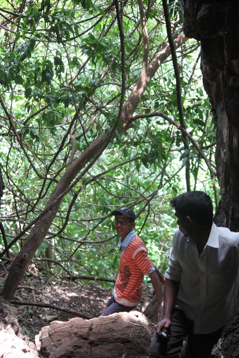Journeys across Karnataka: Caves of Ulavi: Akalagavi