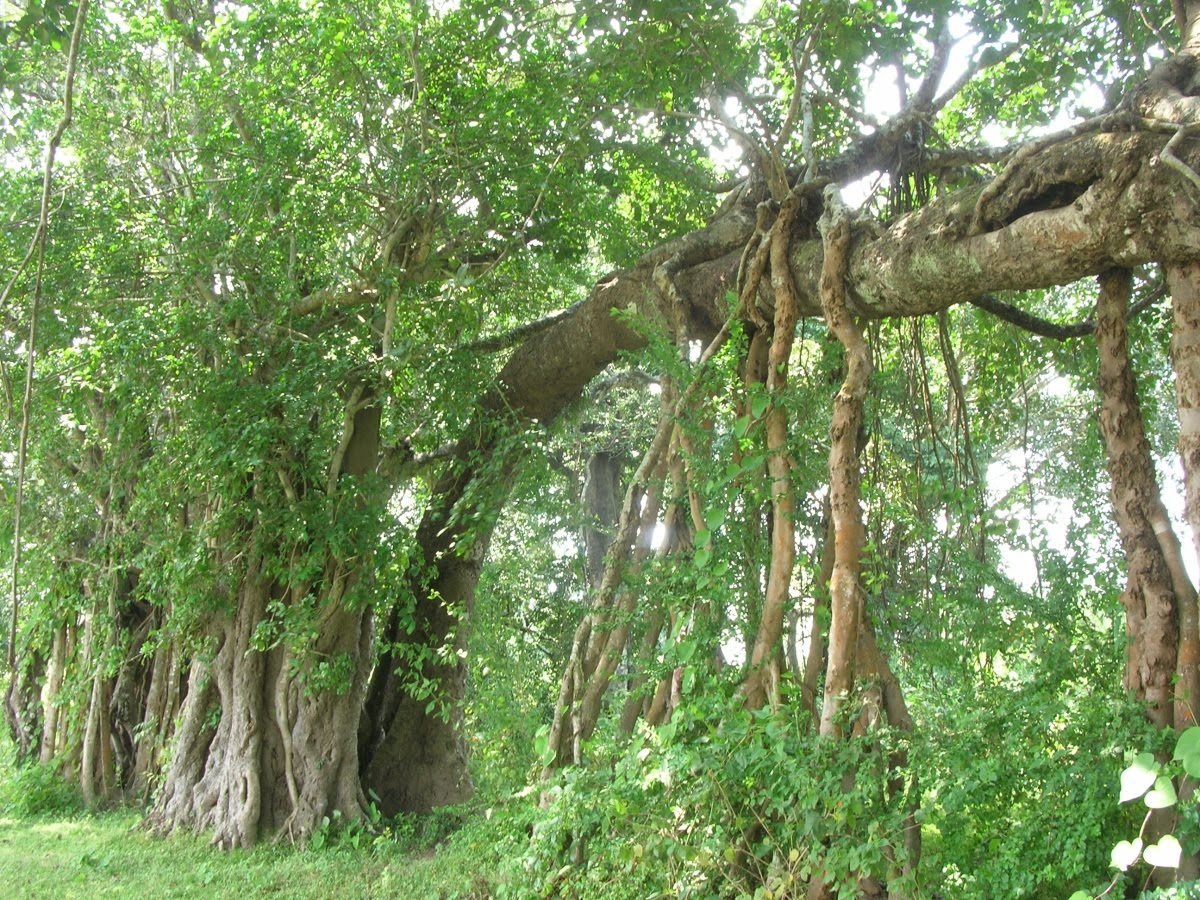 Journeys across Karnataka: Sangolli Rayanna memorial at Nandghad