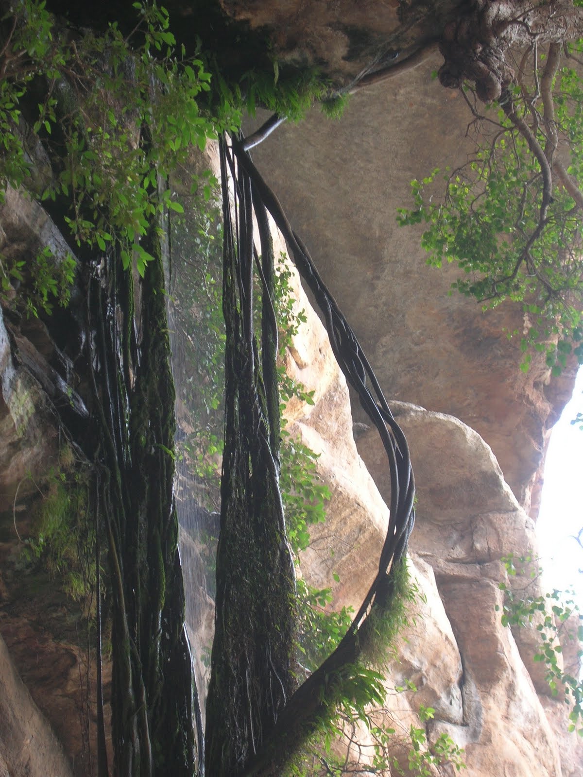 Journeys across Karnataka: Sri Kalakaleswara Temple, Gajendragad