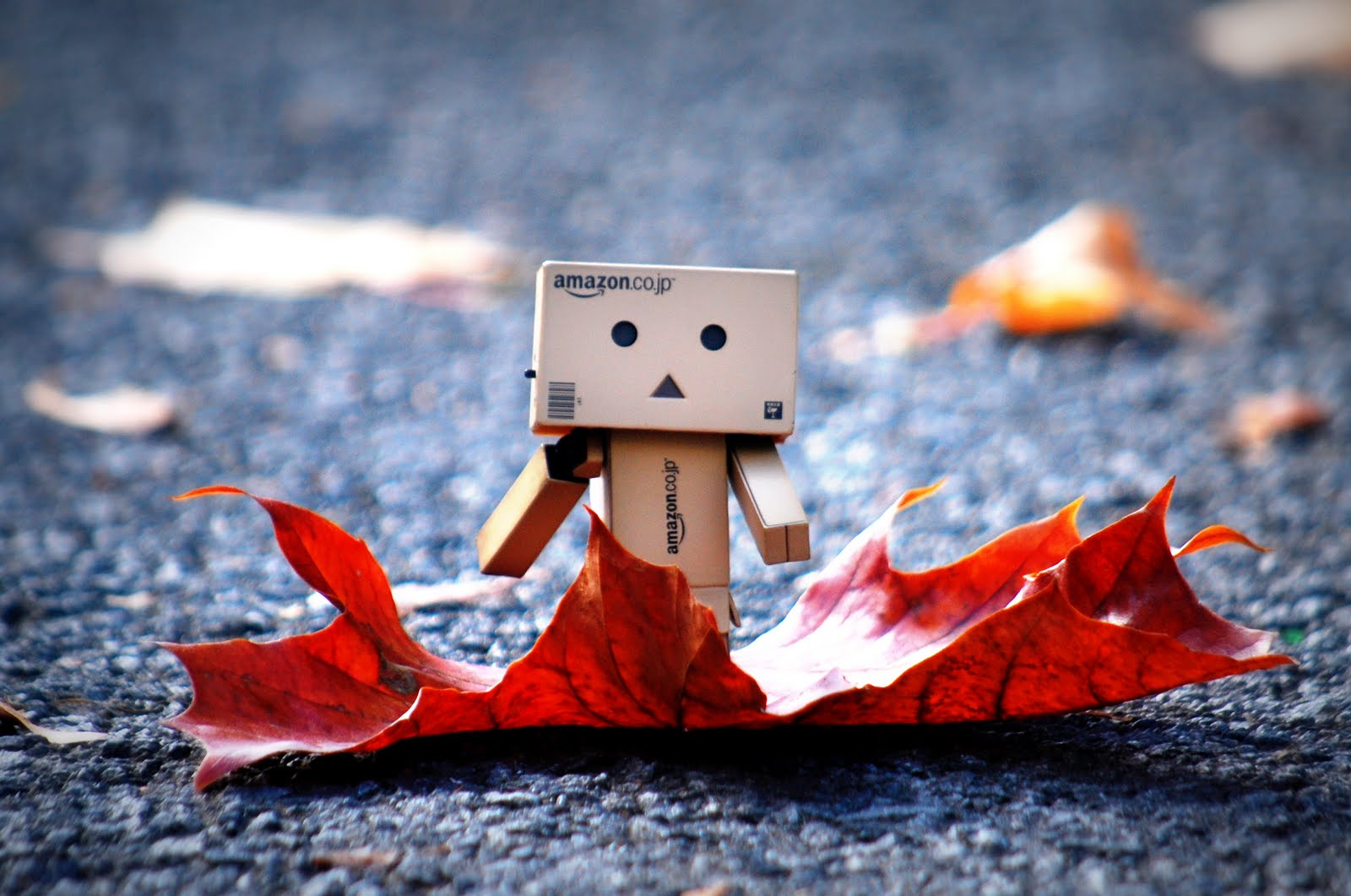 Cajitas danbo - Imagui