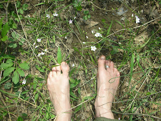 Luna Herb Co. » tenfold path