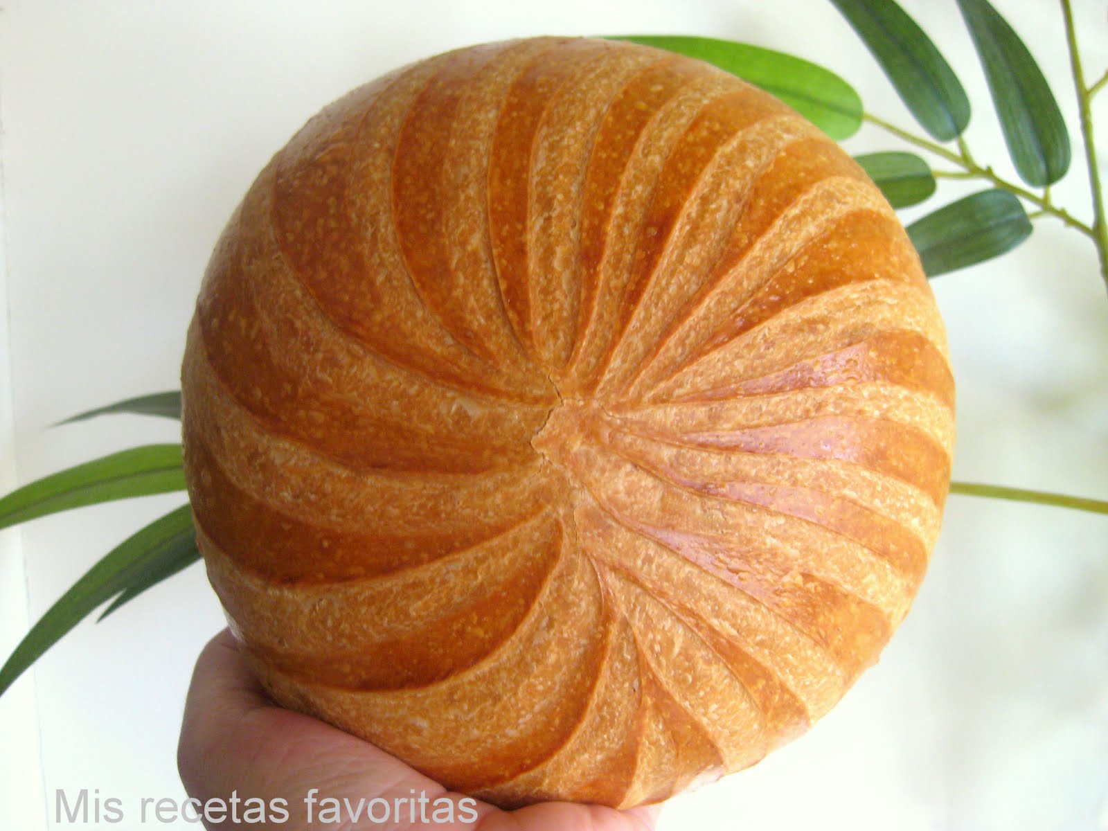 Pain de Dieppe - Mis recetas favoritas by Hilmar