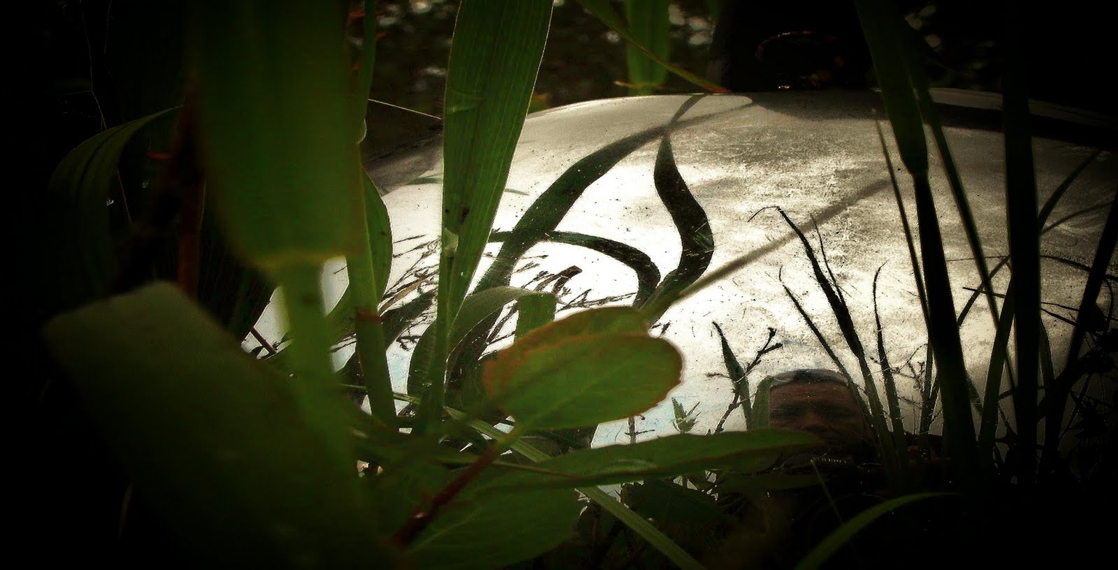 Anim Ishkode Blackhoof: Scientific Detachment from Nature: Part 4 of ...