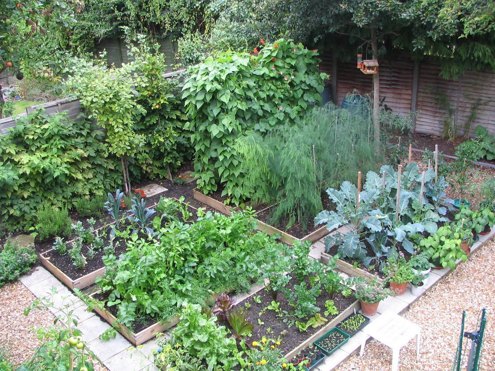 Mark's Veg Plot: My food / gardening philosophy