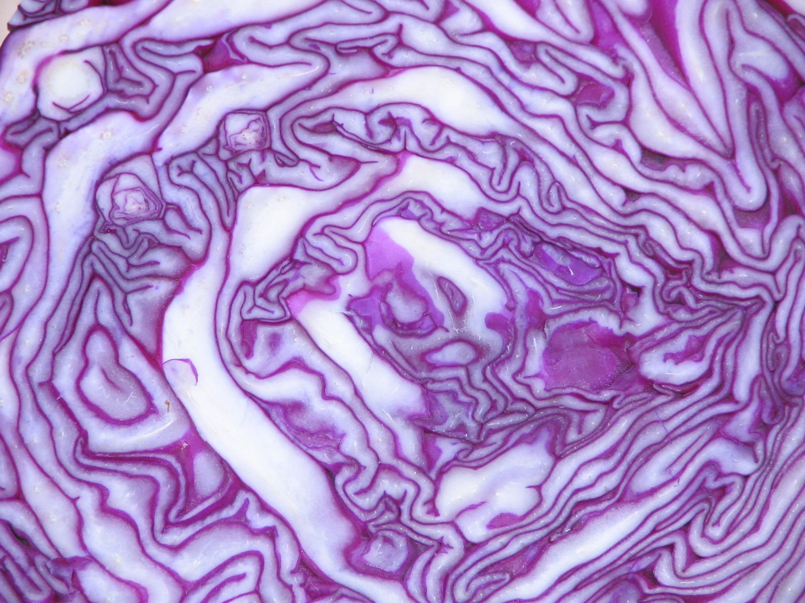 Mark's Veg Plot: Pickled Red Cabbage