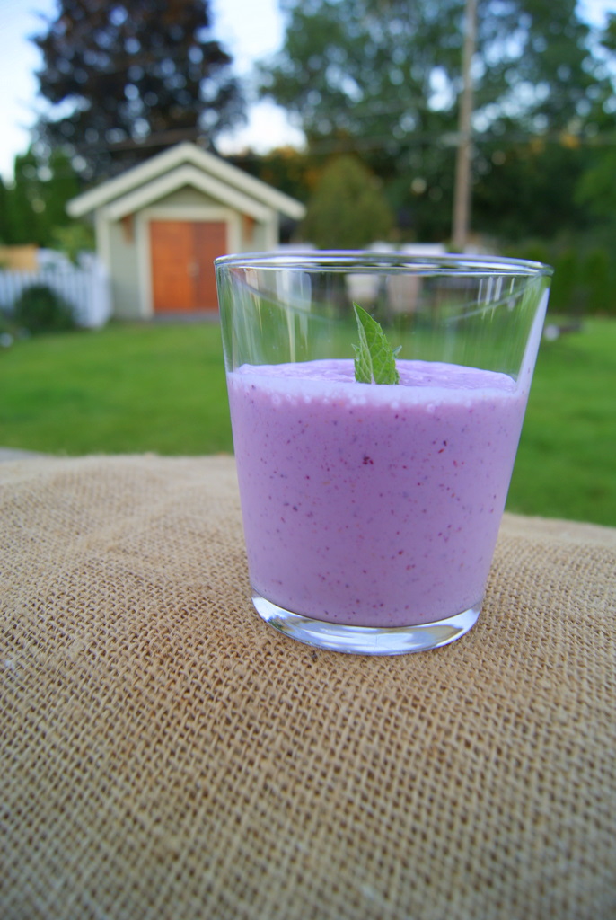 Alisa's Garden: Velvety Huckleberry Milk Shake