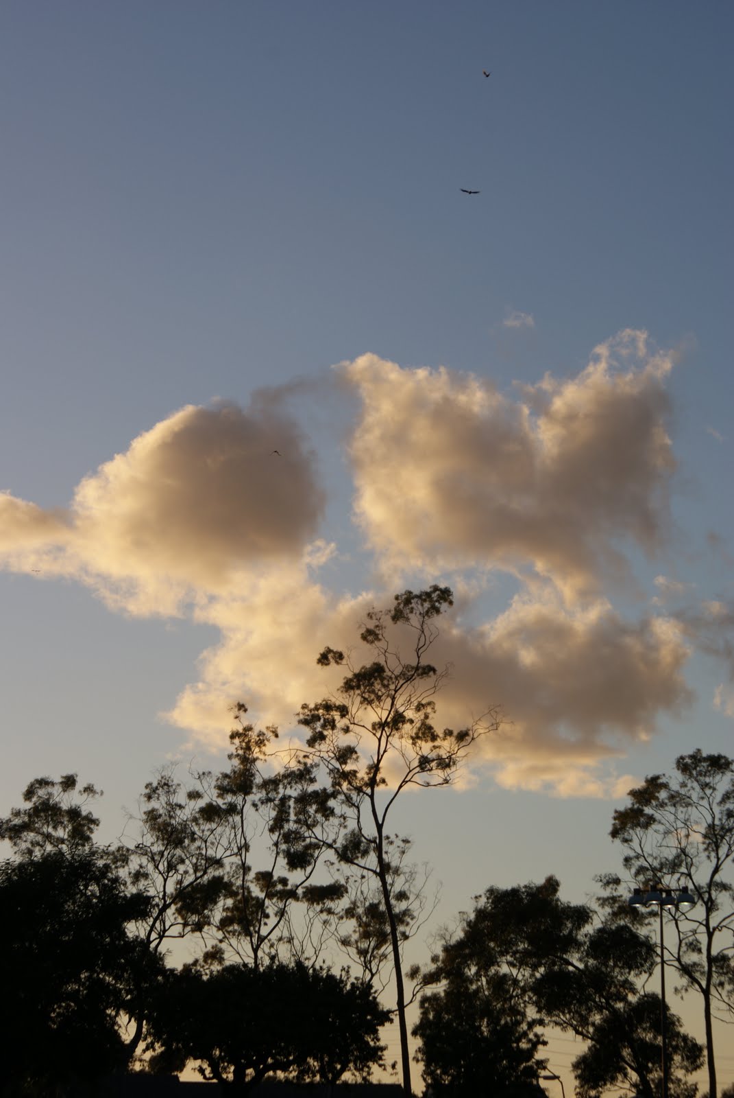 Leslie Rae Art: Photography: Heavy Lightness