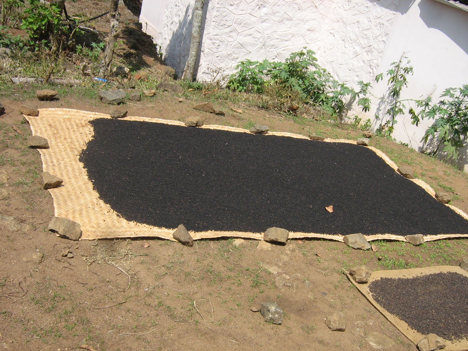 Nature shots: Muram and Parambu