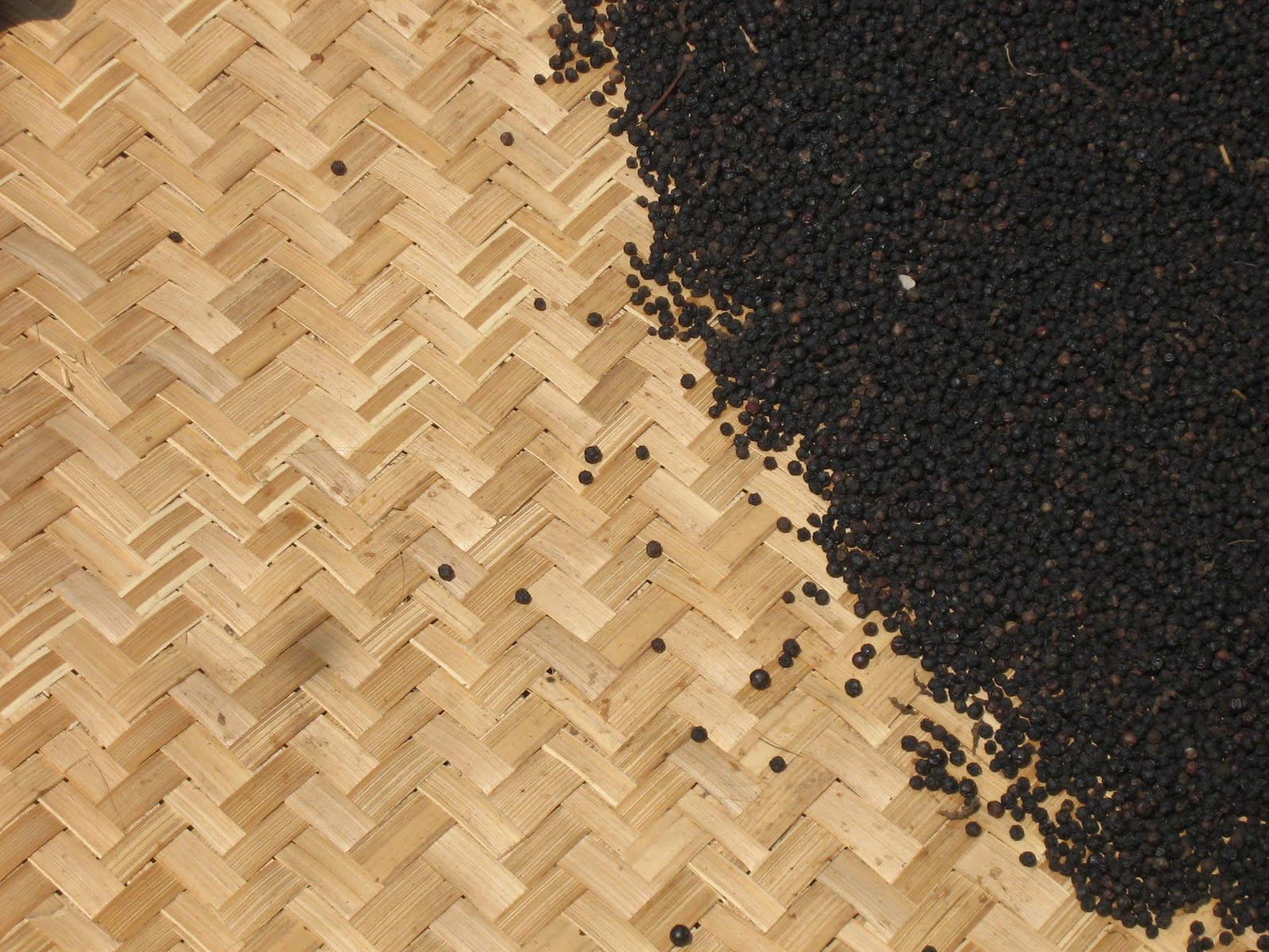 Nature shots: Muram and Parambu