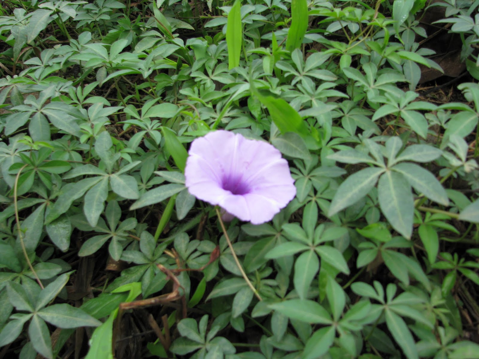 Nature shots: May 2010