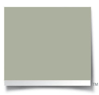 Sweet Life Skills.: Paint