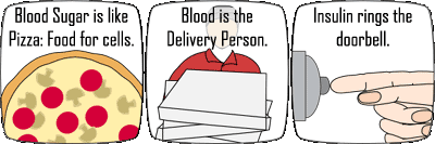 Diabetic in Calgary: Explaining Insulin with Pizza