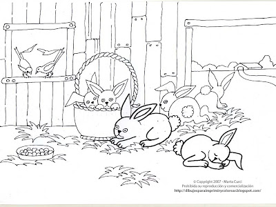 Aves de corral para colorear - Imagui