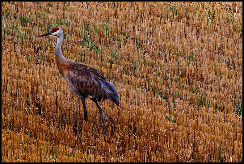 two reasons why i was late getting home… – Katie Barnes