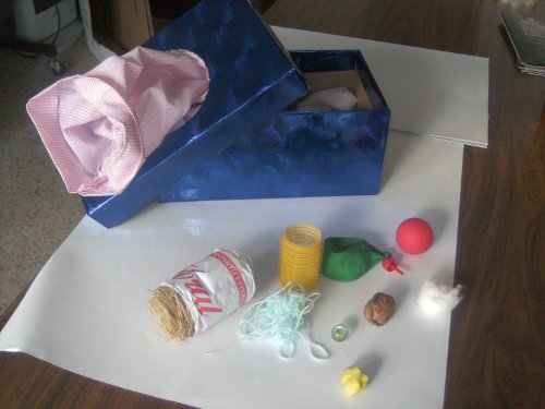 Experimentos en Educación Primaria e Infantil: Cajas ciegas (tacto)