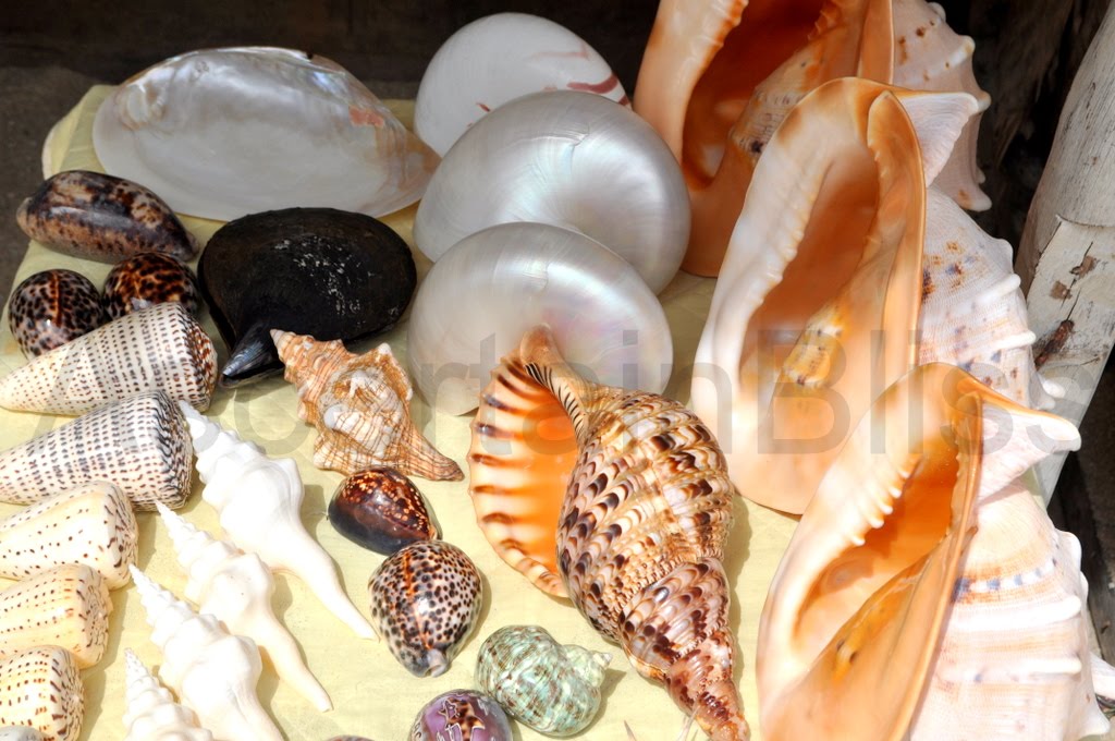 Ascertain Bliss: No More Puka Shells at Puka Beach