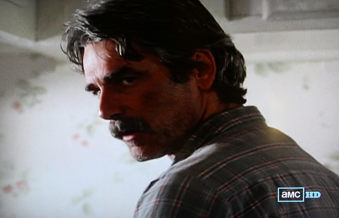 OTIS (Odd Things I've Seen): On Prancer: A Pretty Grounded Movie About ...