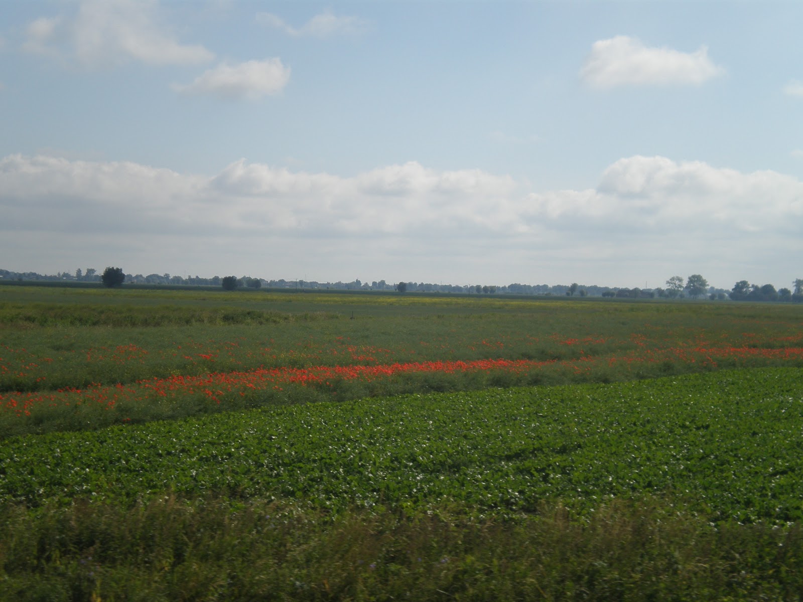 Zatylnys in Poland: Polish countryside