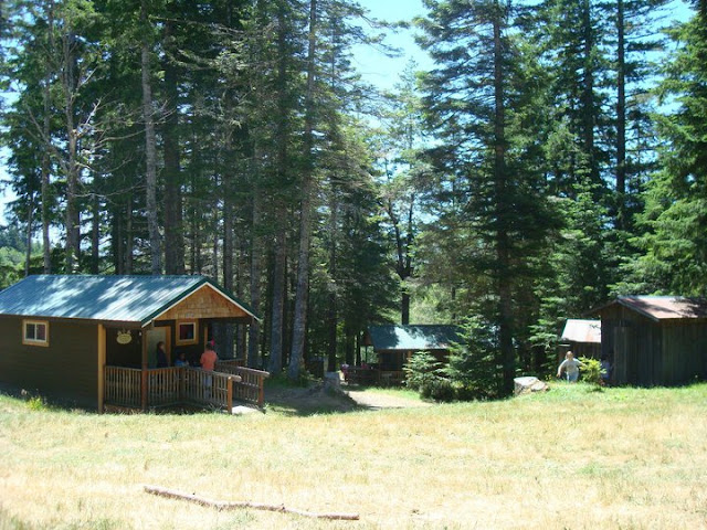 The Mog Blog: Camp Fircroft