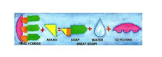 Chemistry in My Daily Life: Soap