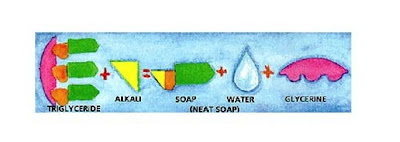 Chemistry in My Daily Life: Soap