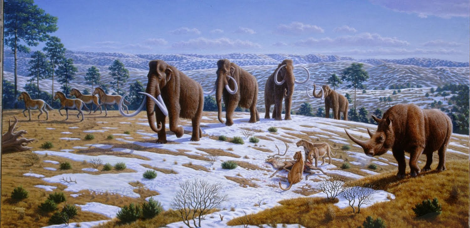 Hoy es el primer día del resto de tu vida.: Un mamut vivo, dentro de ...