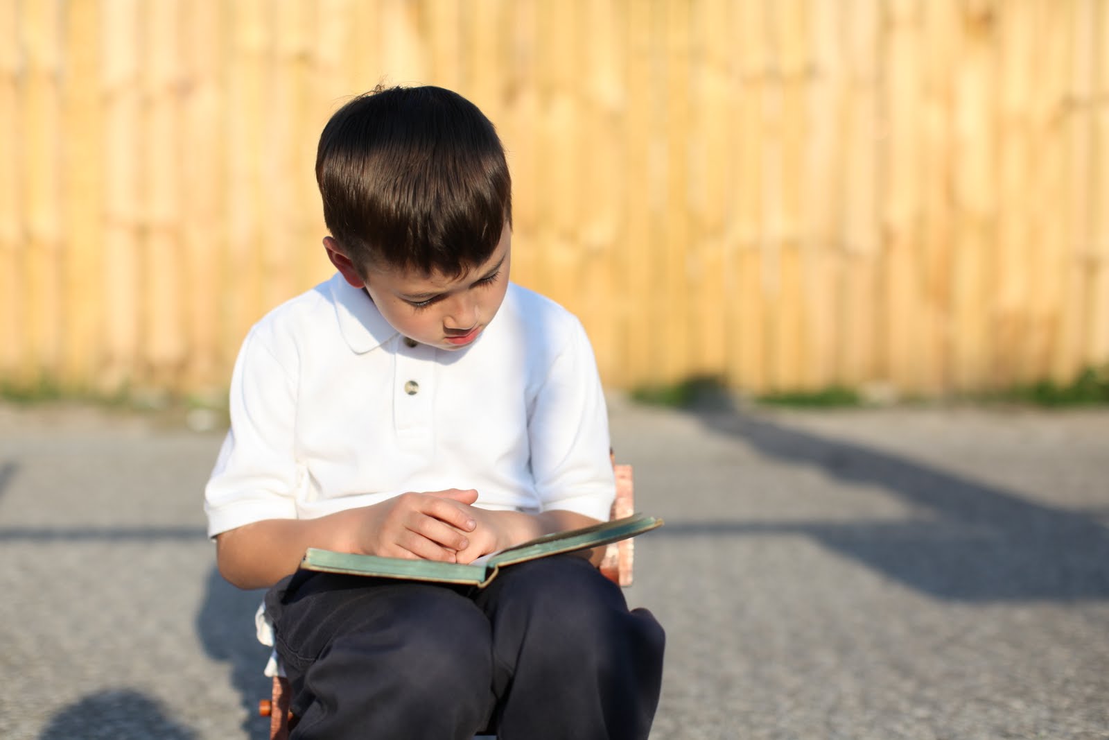 The Tsukayama Corner: Joshua's Bible Reading Challenge