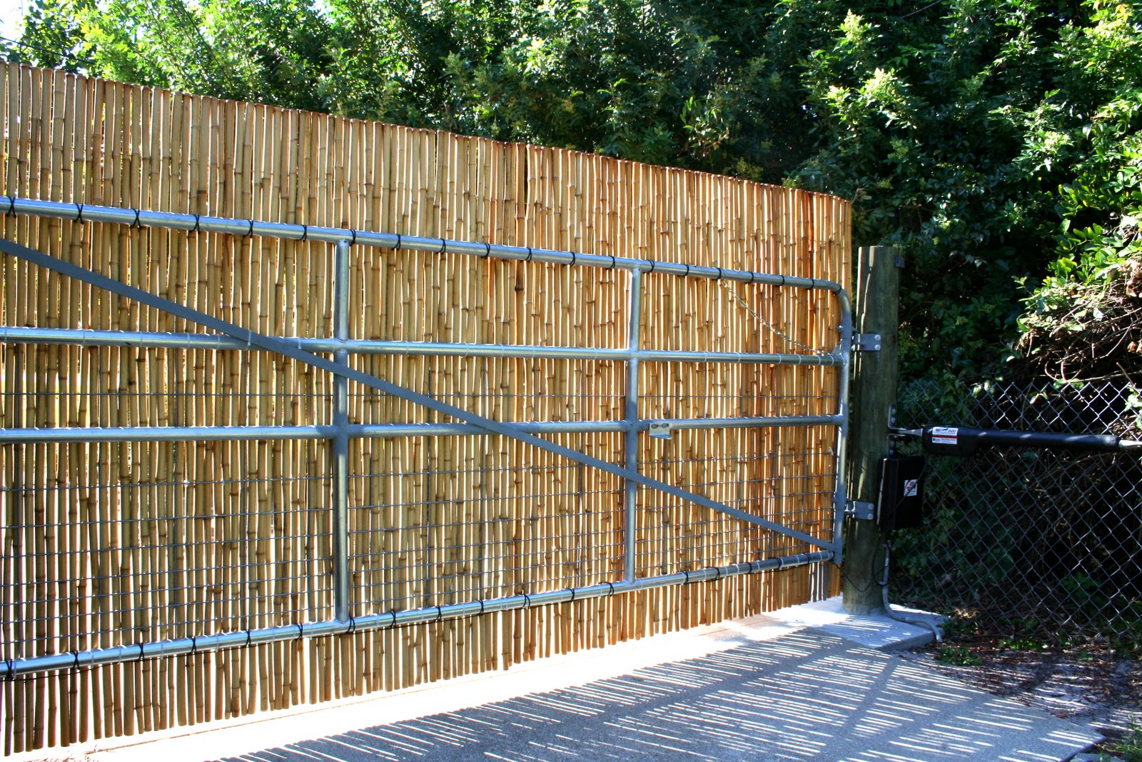 Repurposing Relics: Bamboo Covers Old Farm Pasture Gate