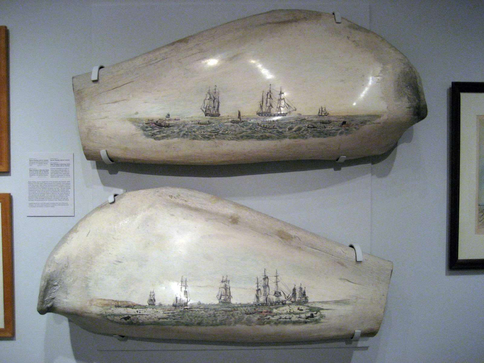 musings of a sea witch: Scrimshaw - Whaling Museum