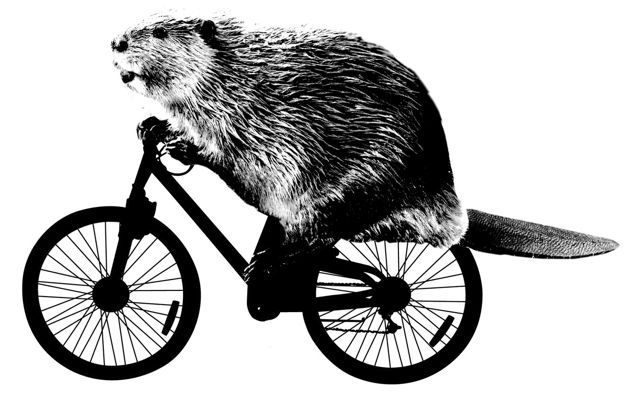 Heather cruising in the Hutt Valley: Beavers on Bikes