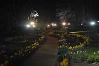 Luke's Disc Jockey Service: April 10th, 2010 - Wedding - Rebecca Altman ...