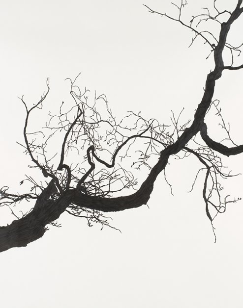 Spazi residuali [residual spaces, terrain vague, drosscape, vacant land ...