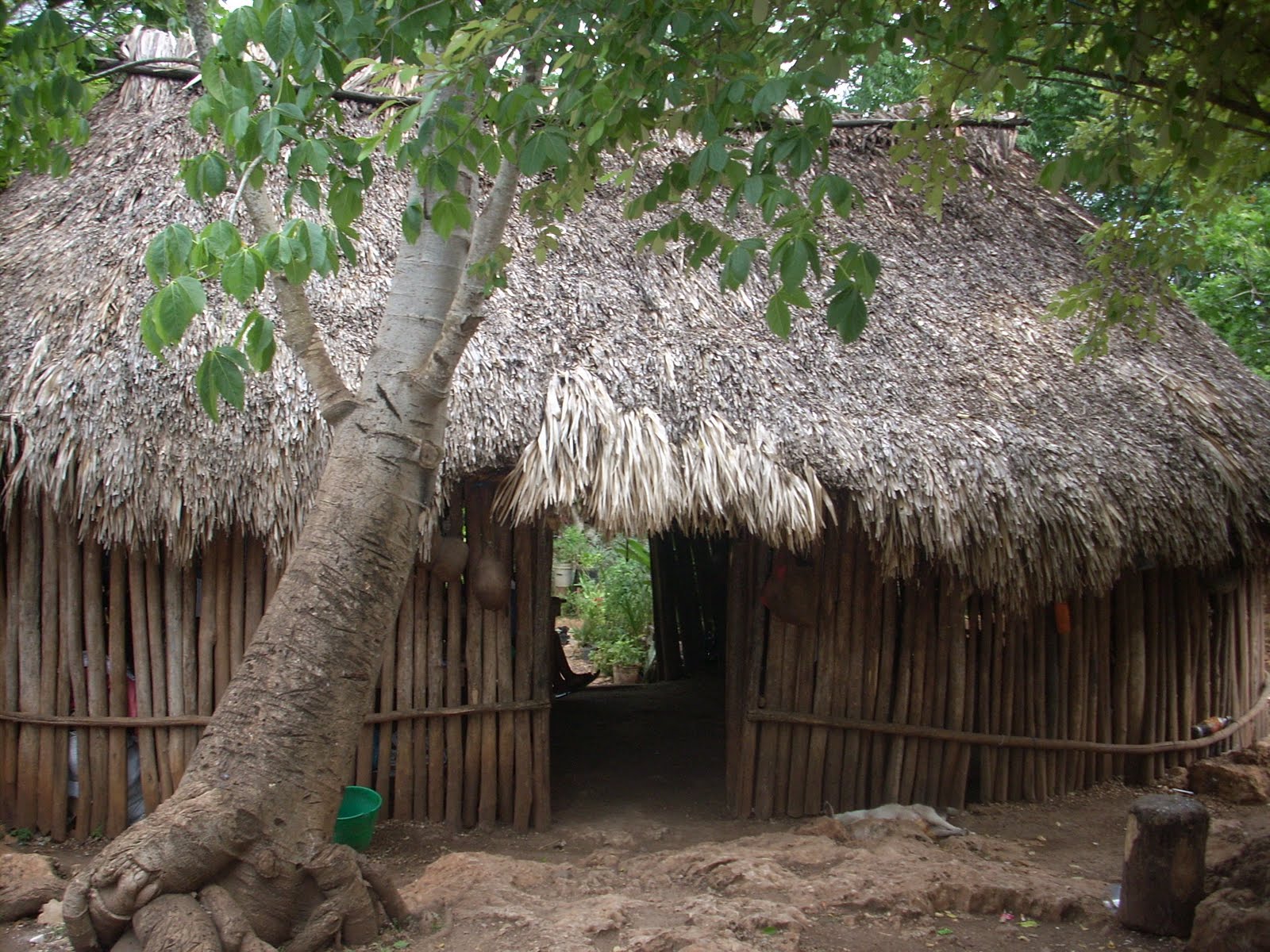 TOURS EN CANCUN: COBA Y SUS ALDEAS MAYAS