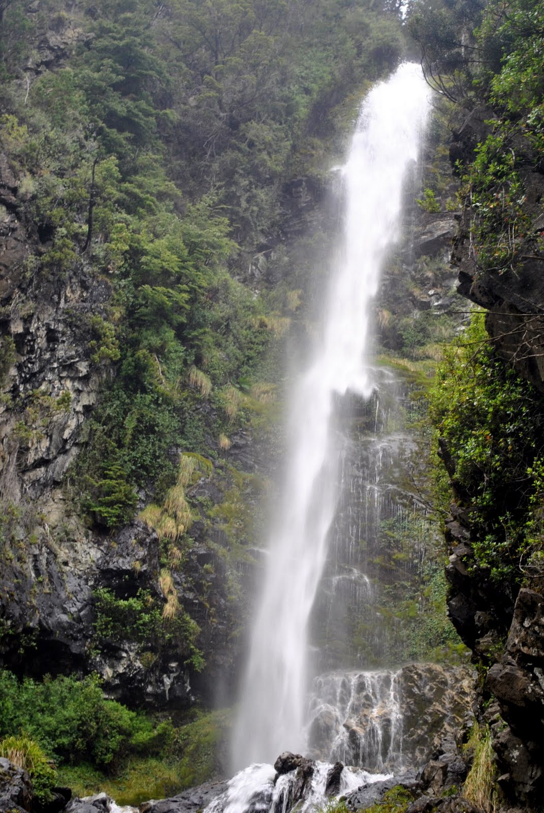 El Observador: El Bolson , Rio Negro, Argentina.