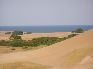 Compartiendo Imagenes: Médanos en Pinamar