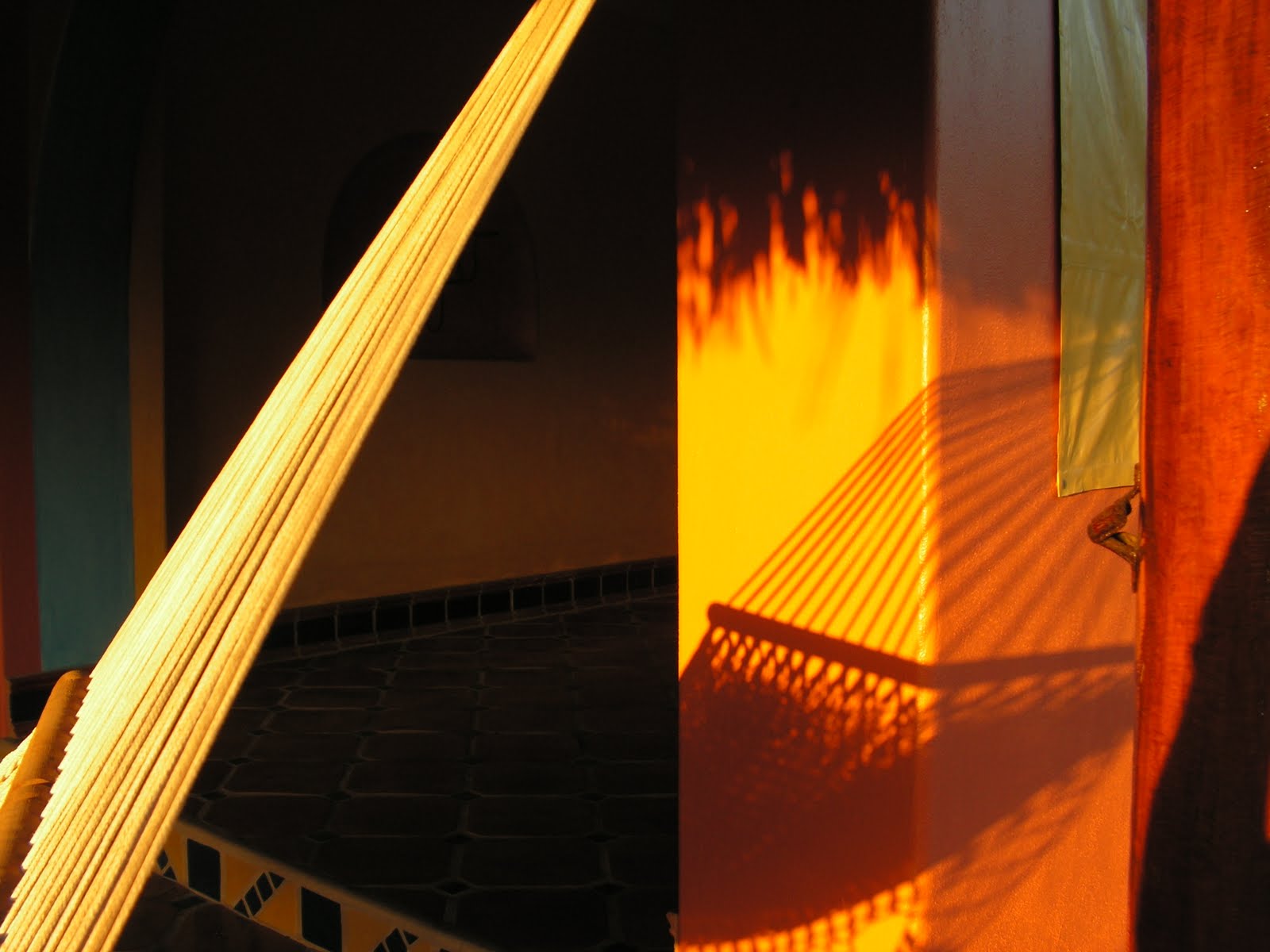 Carol Lopez - Painter