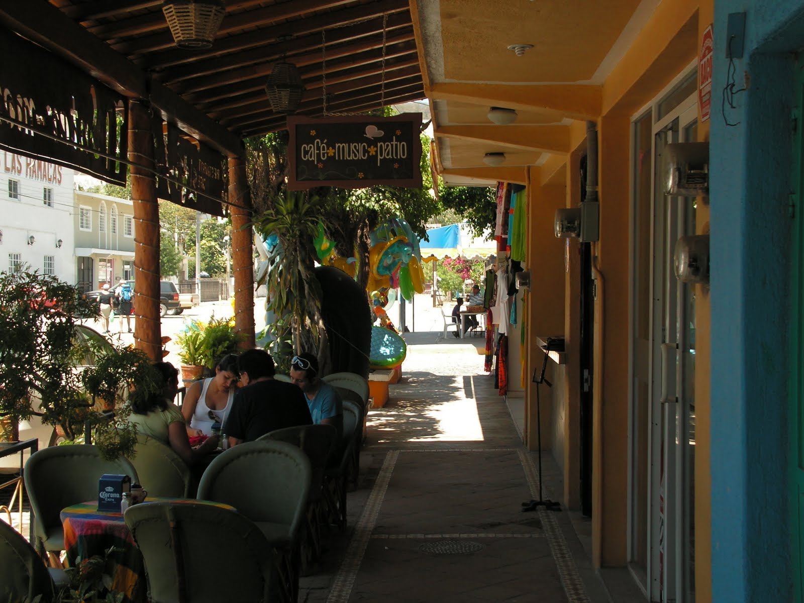 Carol Lopez - Painter