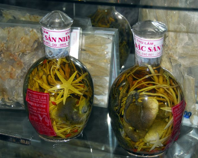 Snake wine | Vietnam Liquor - Spluch - Interesting/Fun Stuff From ...