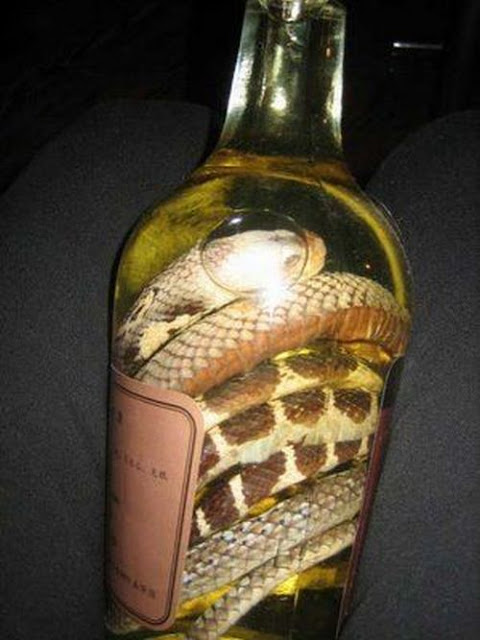Snake wine | Vietnam Liquor - Spluch - Interesting/Fun Stuff From ...