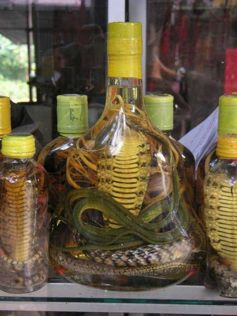Snake wine | Vietnam Liquor - Spluch - Interesting/Fun Stuff From ...