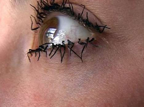 Flylashes - Spluch - Interesting/Fun Stuff From Around The World