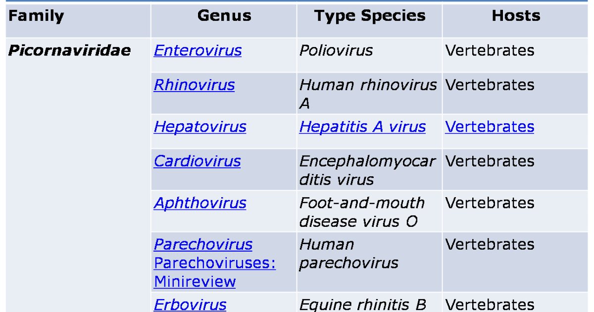 All about Viruses: Picornaviridae and Orthomyxoviridae