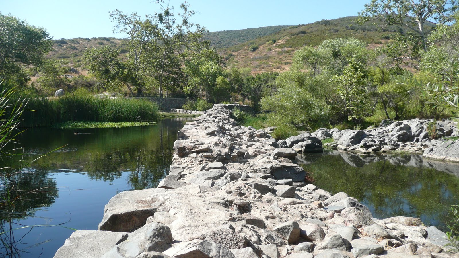 Viva Cindy: Hiking at Mission Trails Regional Park