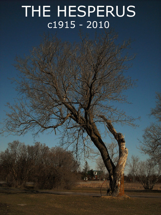 meet me at the silo: Hesperus