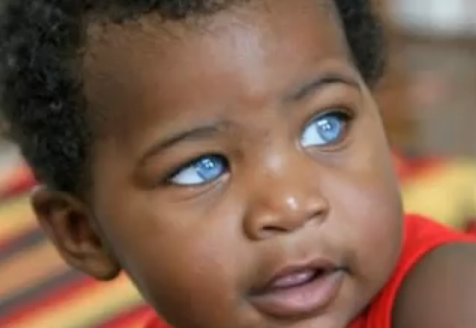 Laren Galloway - Imagui