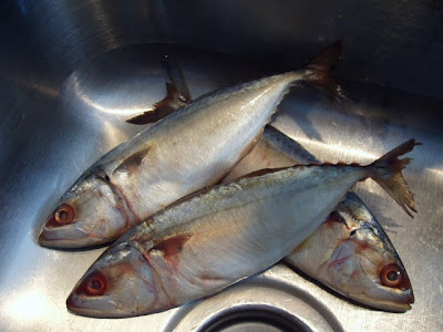 Sizzling Indian Recipes.....: Bangada Gassi with Byadagi Mirchi ...