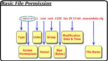 Linux Ocean for Beginners
